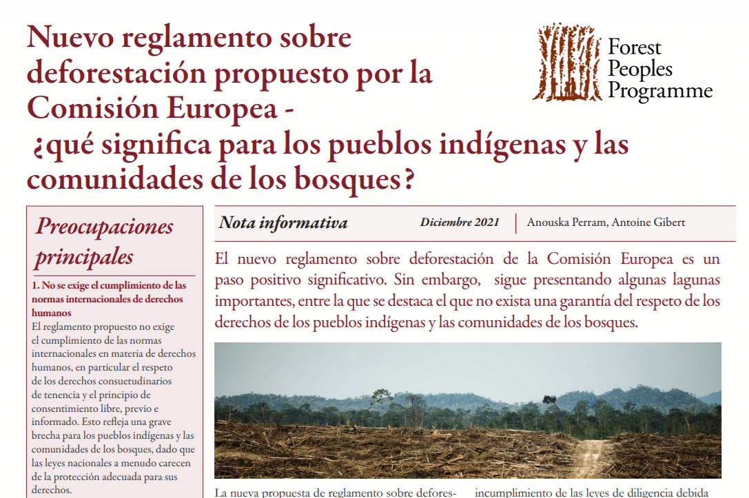 Forest Peoples Programme (FPP) publica análisis sobre el nuevo ...